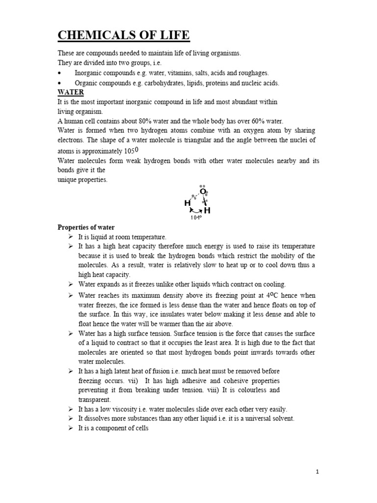 Essential Properties of Water in Life | PDF | Water | Properties Of Water