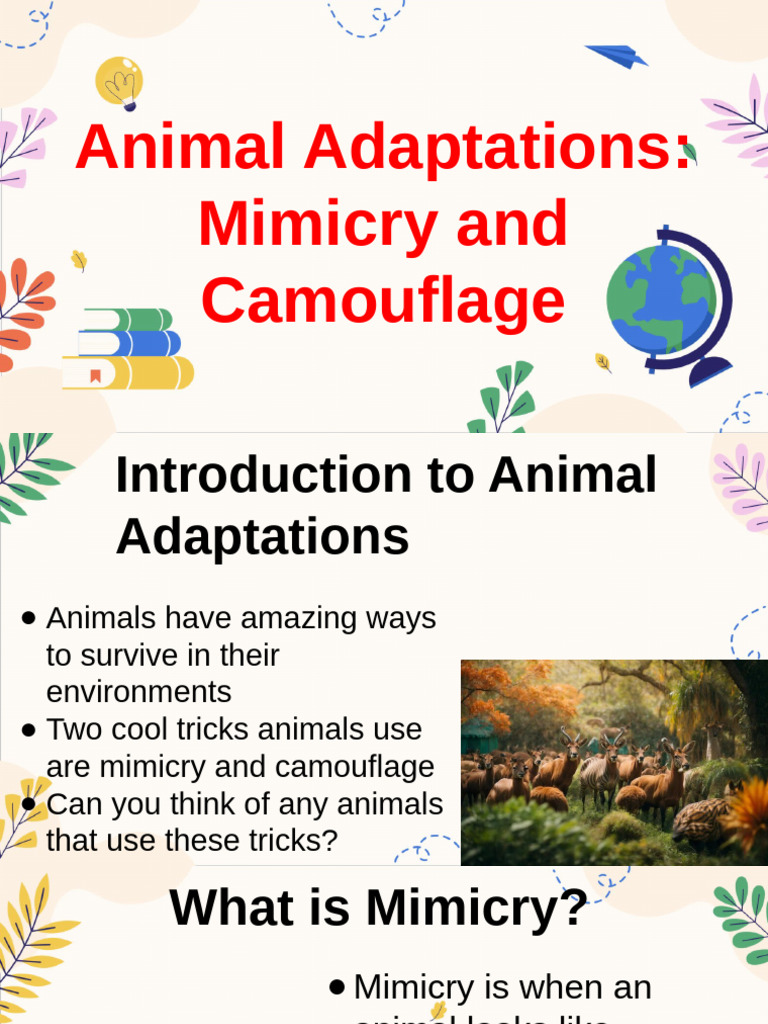 Animal Adaptations: Mimicry & Camouflage | PDF | Mimicry | Camouflage