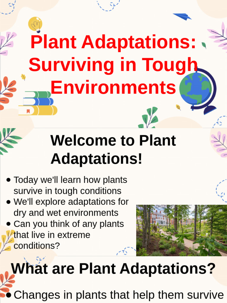 Plant Adaptations for Survival | PDF | Succulent Plant | Trees