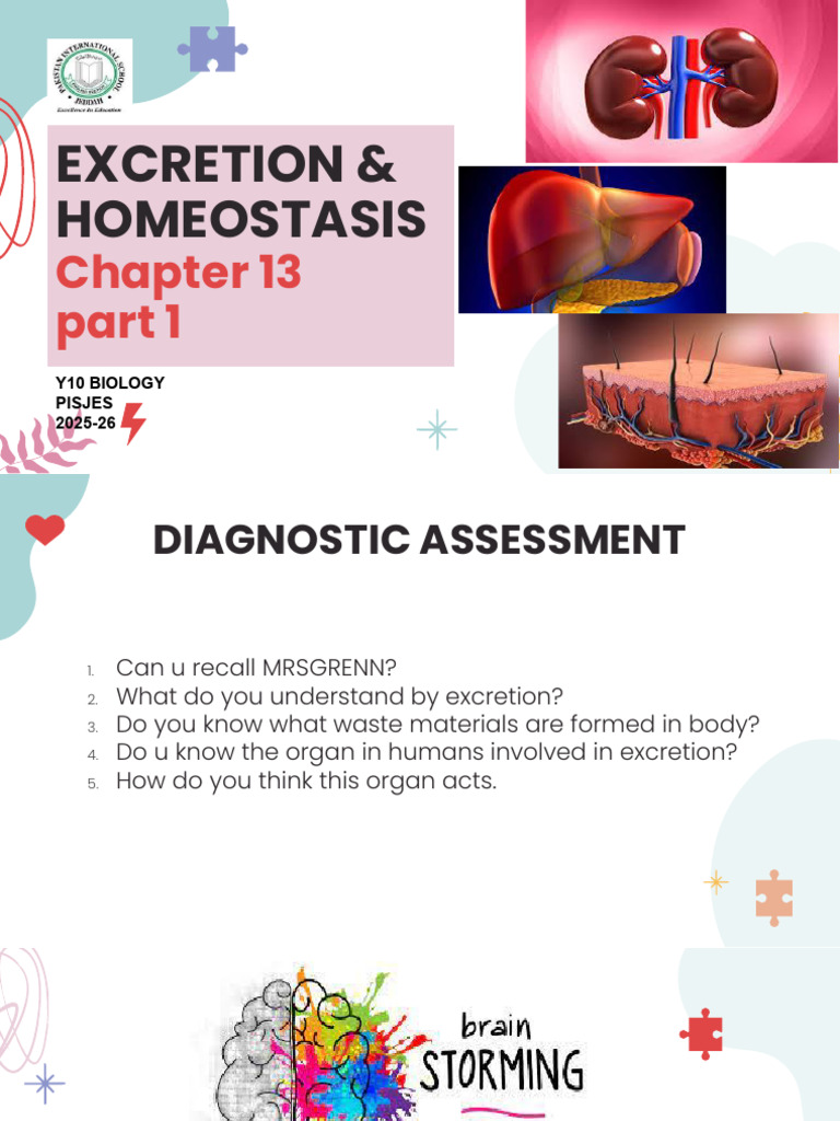 Excretion and Homeostasis in Biology | PDF | Kidney