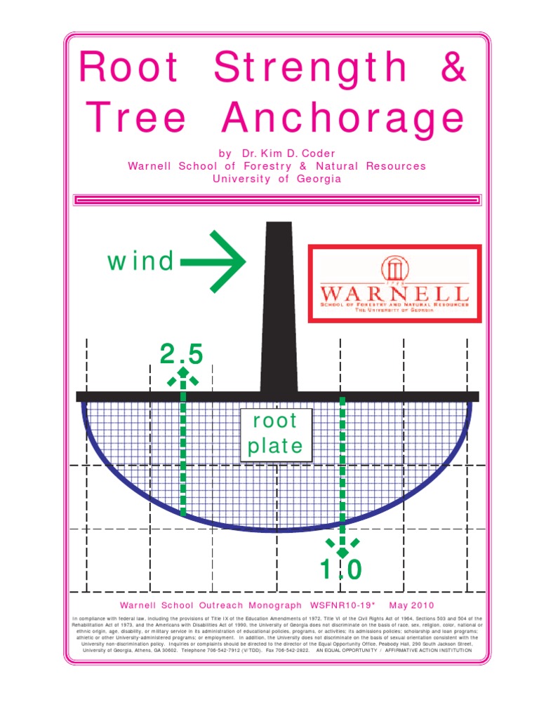 Root Strength Pub 10-19 | PDF | Root | Soil