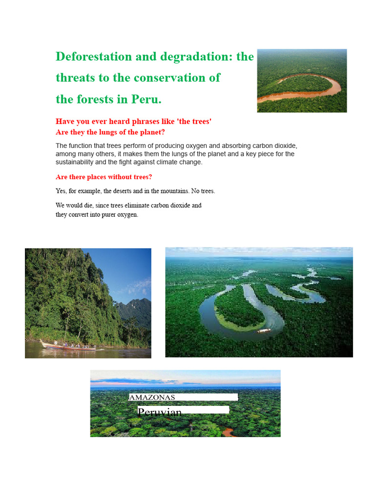 Deforestation and Degradation - The Threats To Forest Conservation in ...