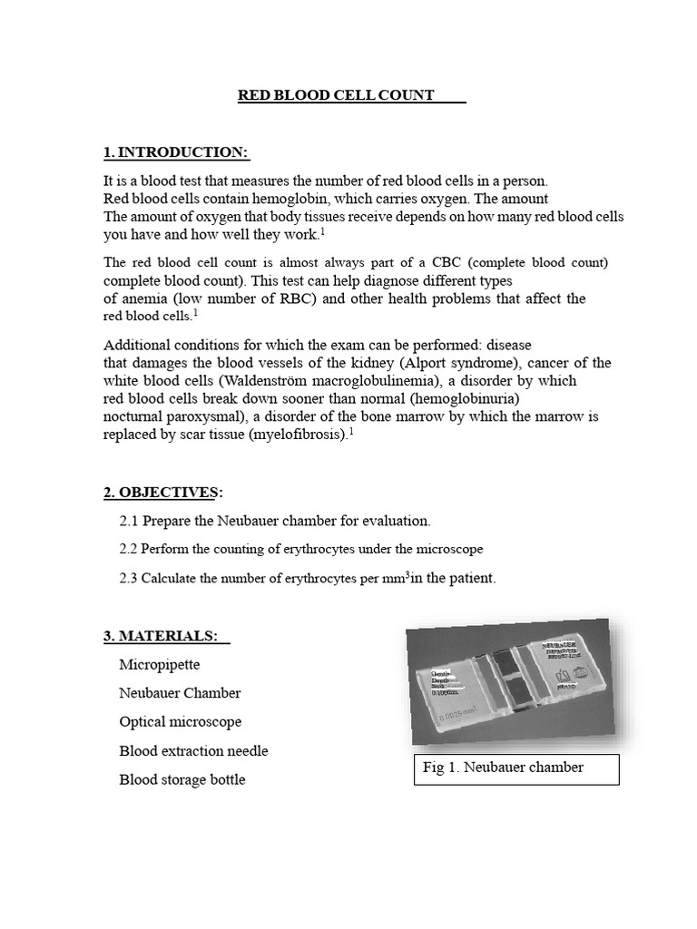 Red Blood Cell Count Procedure Guide | PDF | Blood Cell | Red Blood Cell