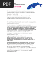 Blue Whale: Adaptations and Conservation | PDF | Whales | Cetacea