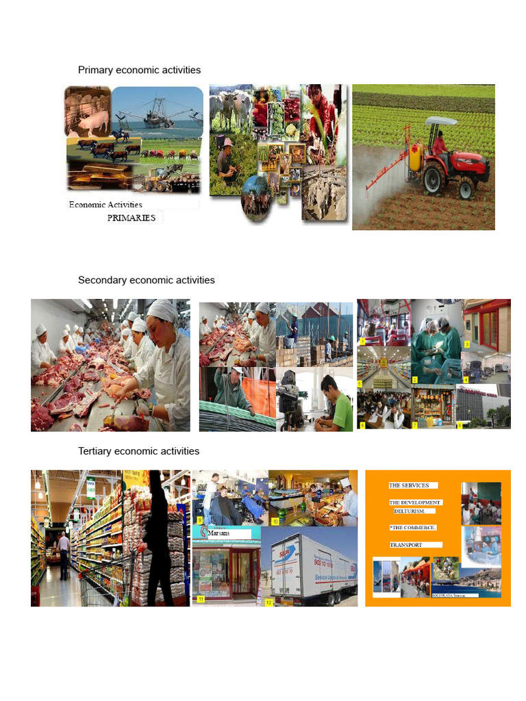 Primary Economic Activities | PDF | World Wide Web | Internet & Web