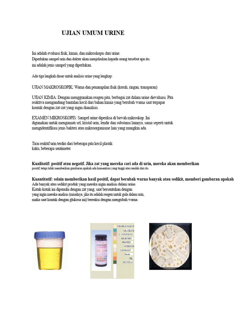 Analisis Uji Urine: Makro, Kimia, Mikroskopis | PDF