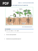 Plant Growth Observation Log | PDF