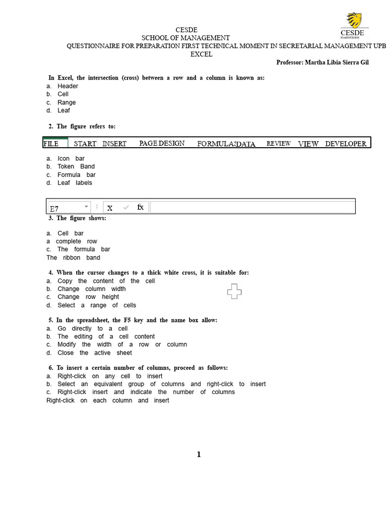 Excel Questionnaire for Secretarial Management | PDF | Microsoft Excel ...