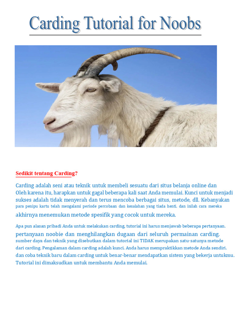 Carding Untuk Pemula? | PDF