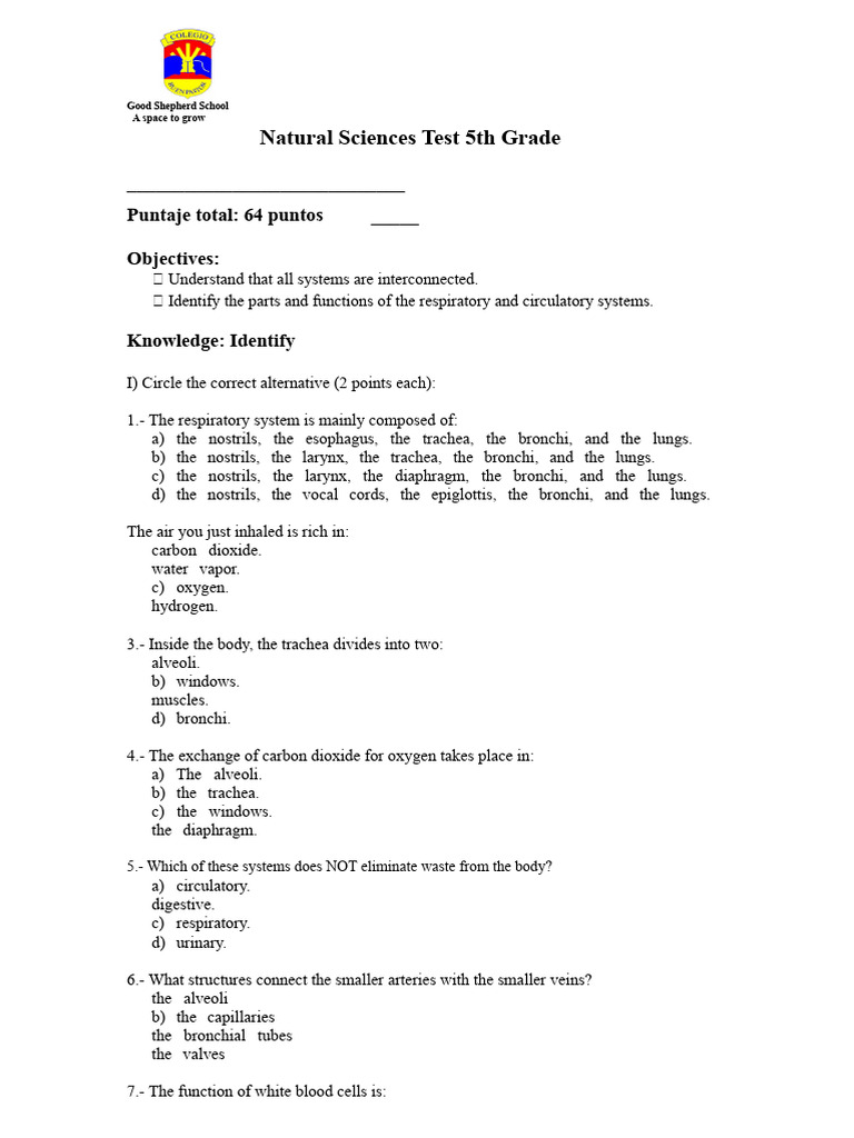 5th Grade Natural Science Test: Body Systems | PDF | Respiratory System ...