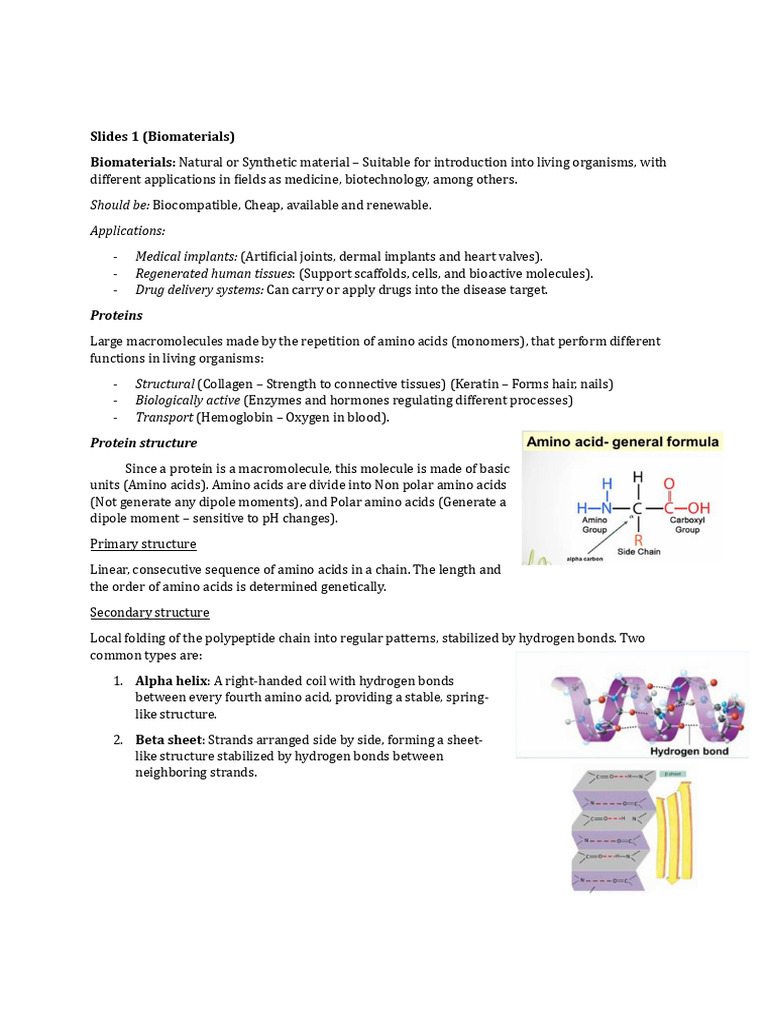 Biomaterials and Protein Structures Overview | PDF | Carbohydrates ...