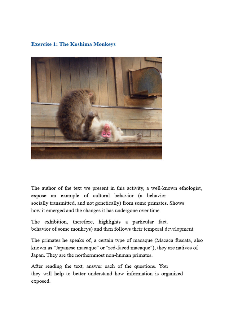 190459_Expository text exercises | PDF | Honey | Foot