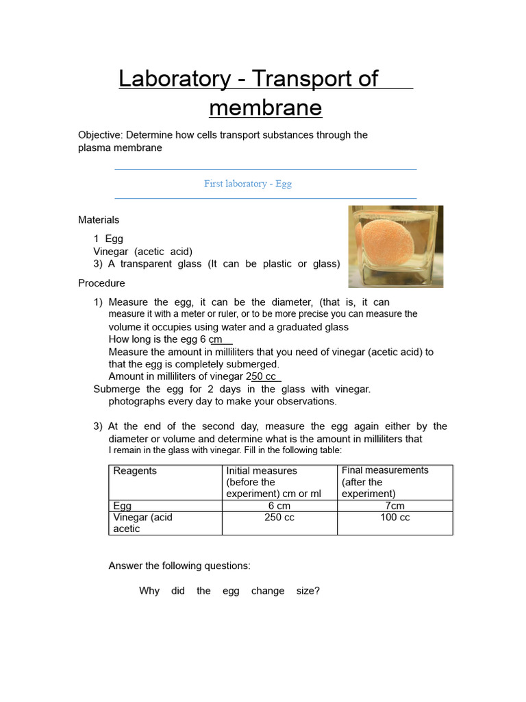 Laboratory - Membrane Transport | PDF | Sodium Chloride | Osmosis