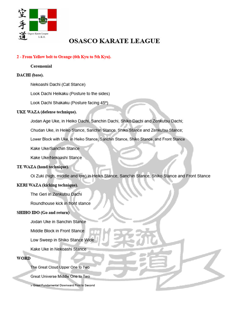 WHITE BELT X YELLOW BELT EXAM | PDF