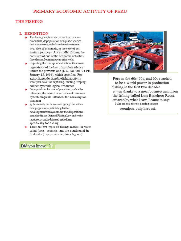 Peru's Key Economic Activity: Fishing | PDF | Sea | Oceans