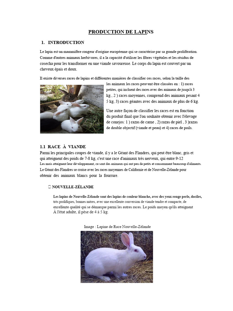 Cycle de reproduction du lapin | PDF | Lapin