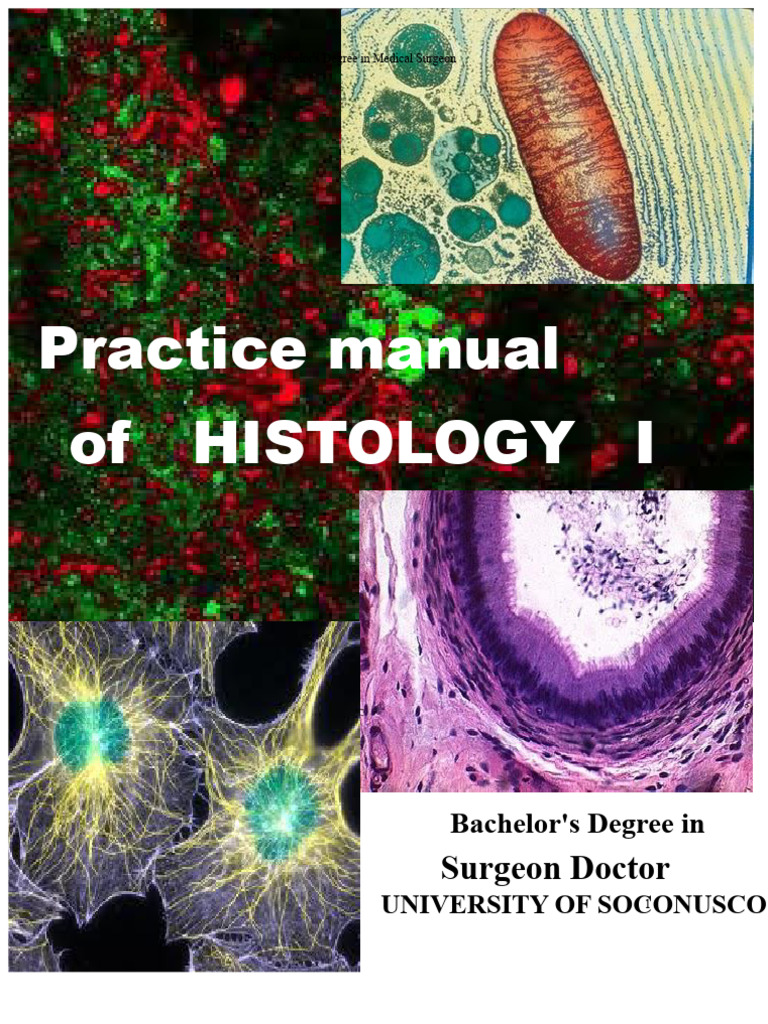 Medical Histology Practice Manual | PDF | Skin | Cell Nucleus