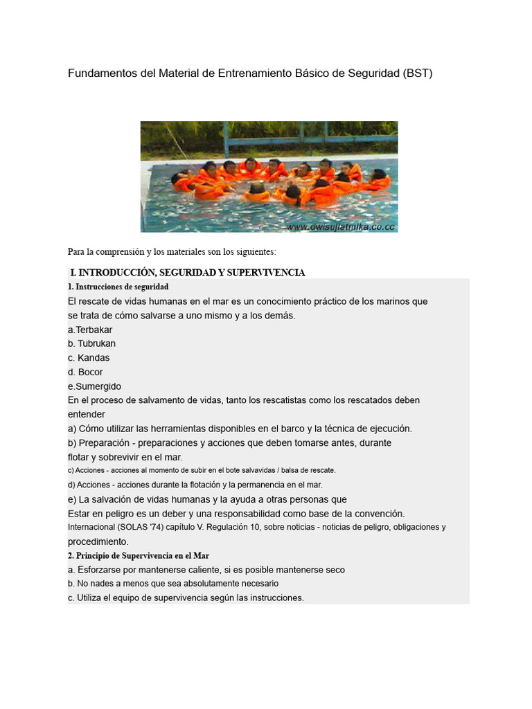 Seguridad y Supervivencia en el Mar | PDF | Barcos | Buques