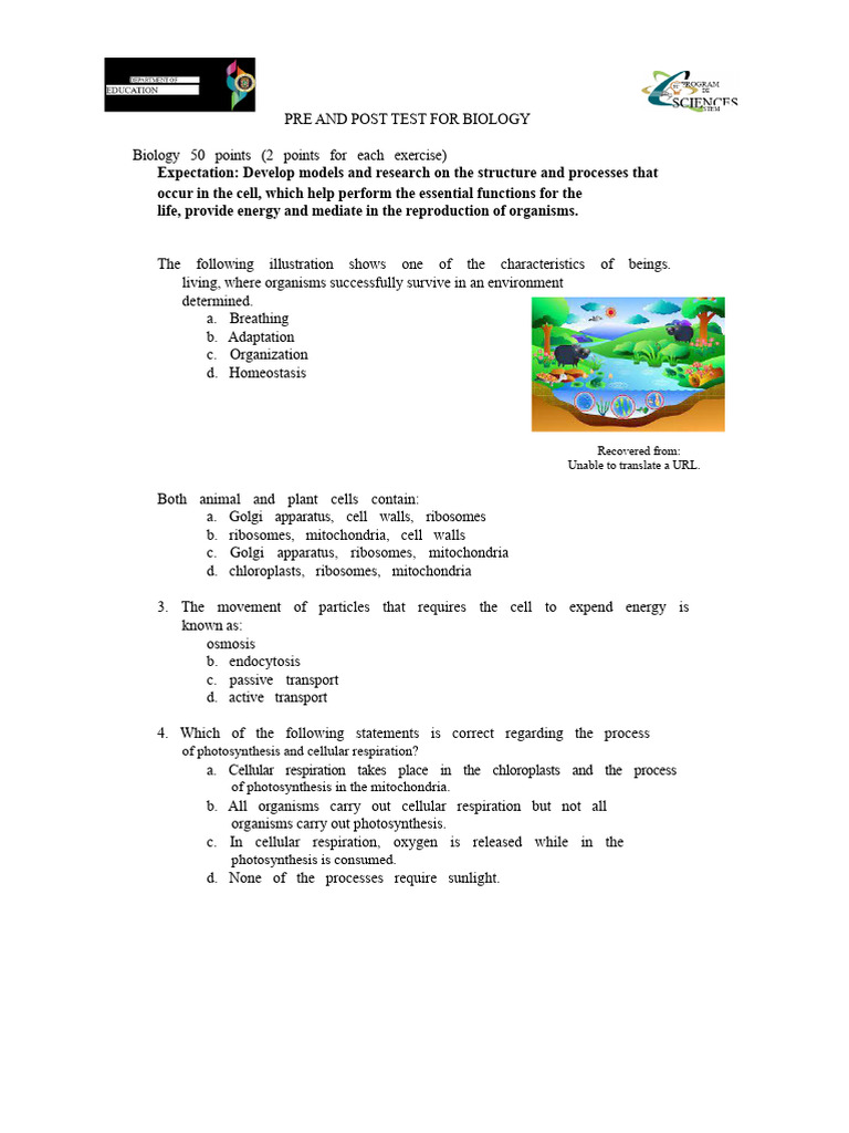 Biology Pre and Post Test Questions | PDF | Mitosis | Cell (Biology)