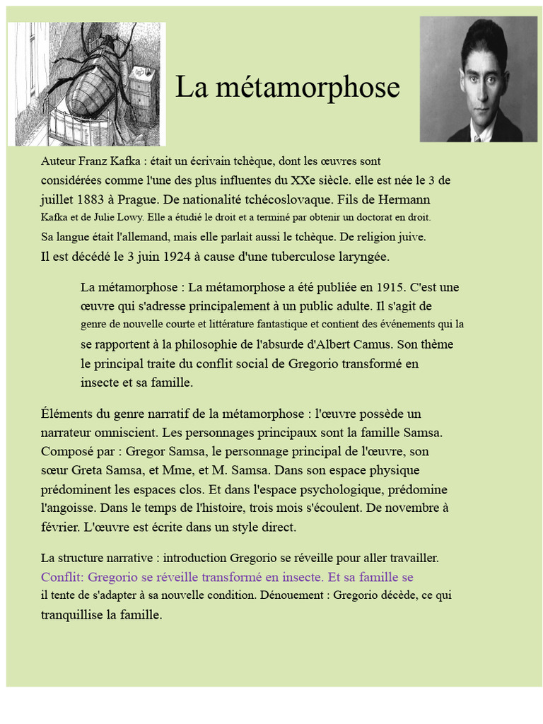 La métamorphose de Kafka expliquée | PDF | La Métamorphose