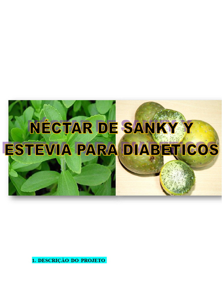 Néctar de Sanky | PDF | Diabetes | Nutrientes