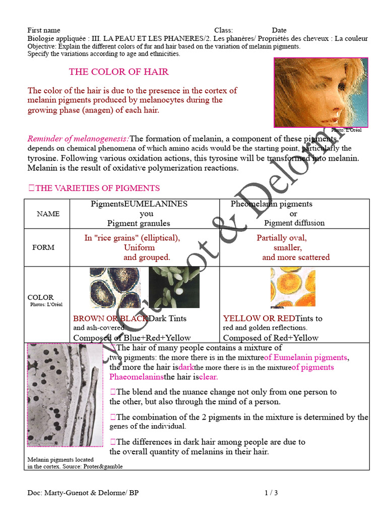 Hair Color and Properties Explained | PDF | Hair