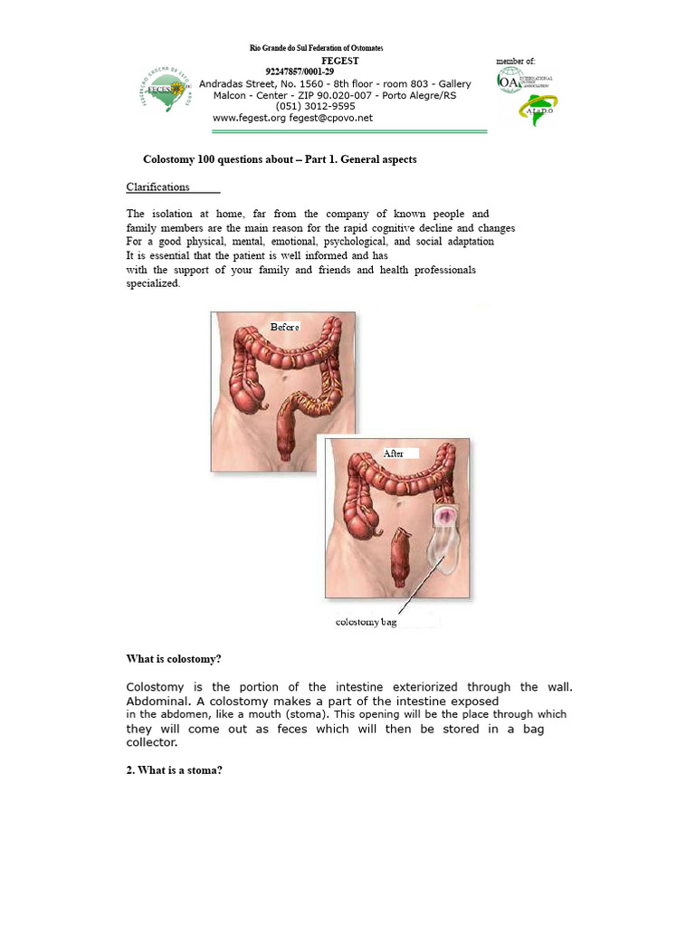 Understanding Colostomy: Key Insights | PDF | Gastroenterology