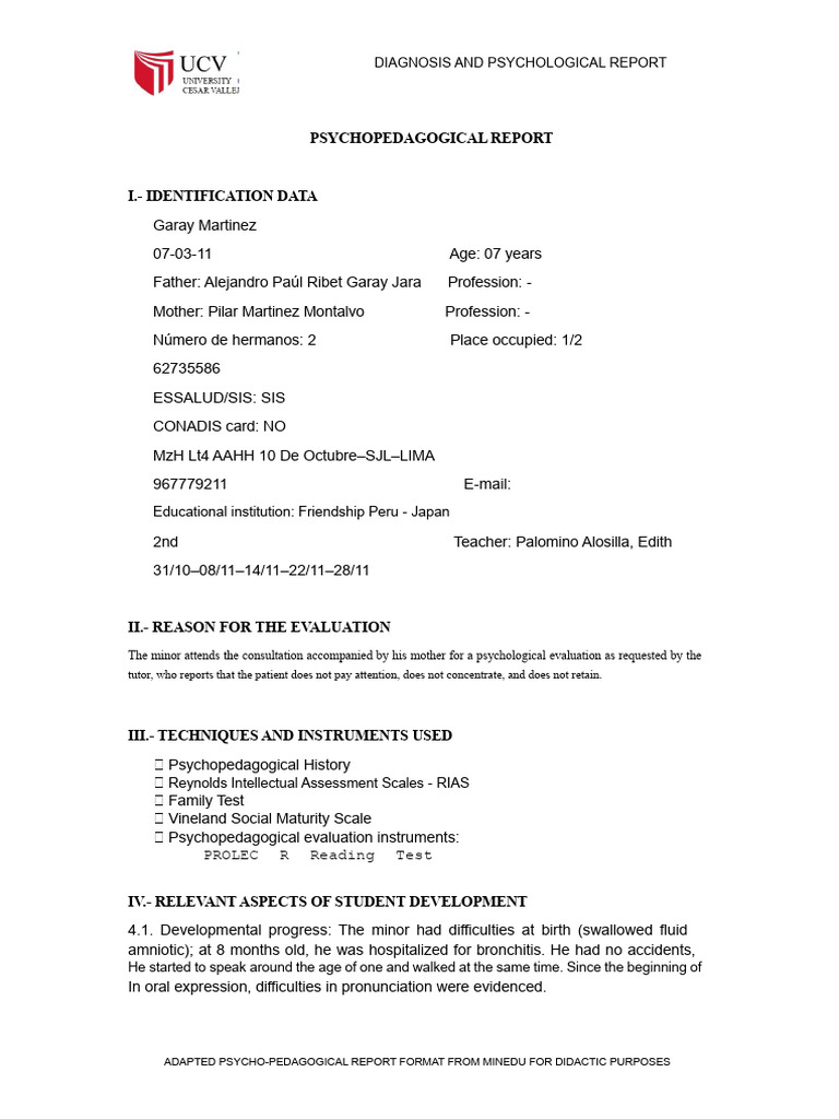 Report - Alejandro Garay Martinez | PDF | Learning | Psychology