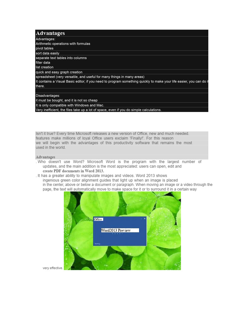 Advantages and Disadvantages of Excel | PDF | Microsoft Word | Windows 7
