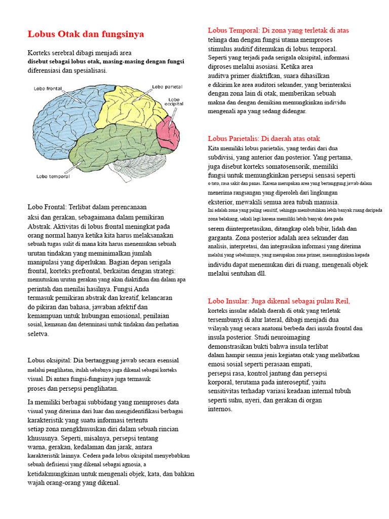Fungsi Lobus Temporal dalam Otak | PDF