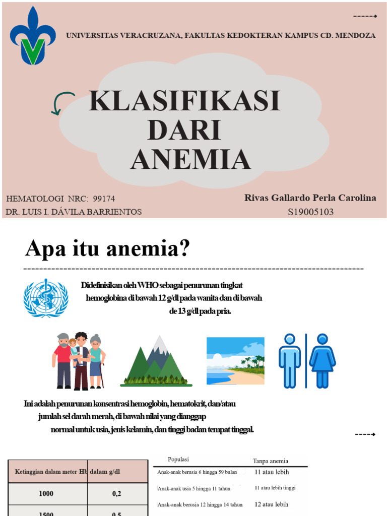 Klasifikasi Anemia | PDF