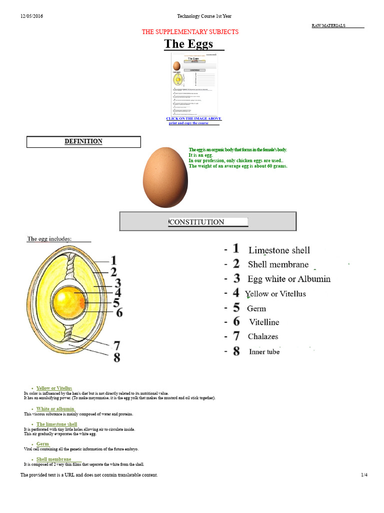 Technology Course 1st Year - Eggs and Egg Products | PDF | Yolk | Egg