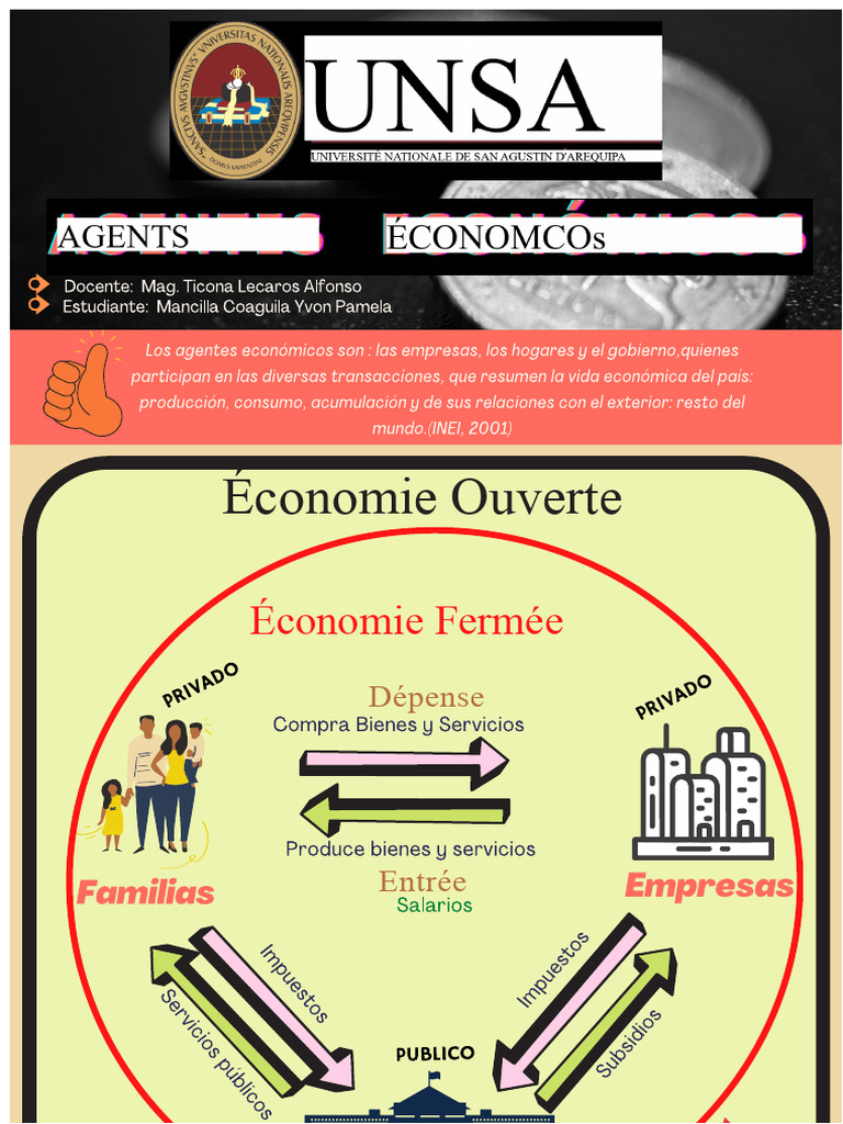 Tâche Virtuelle #6 - Infographie - Agents Économiques | PDF