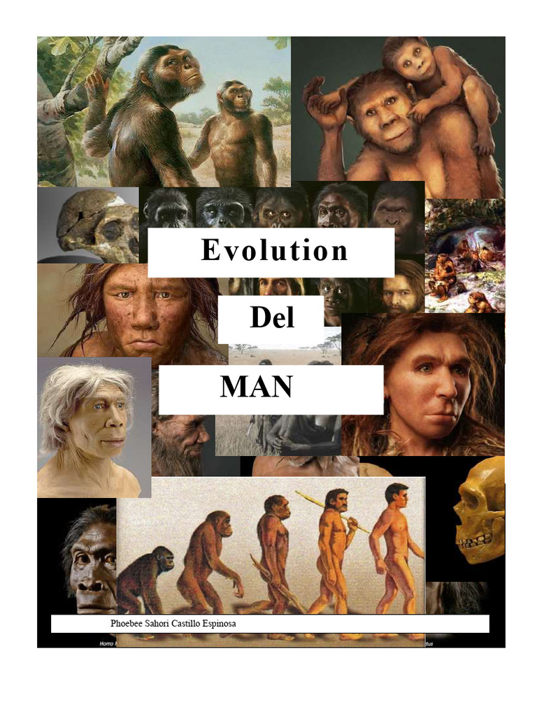 Evolution of Man.pdf | PDF | Homo | Human Evolution