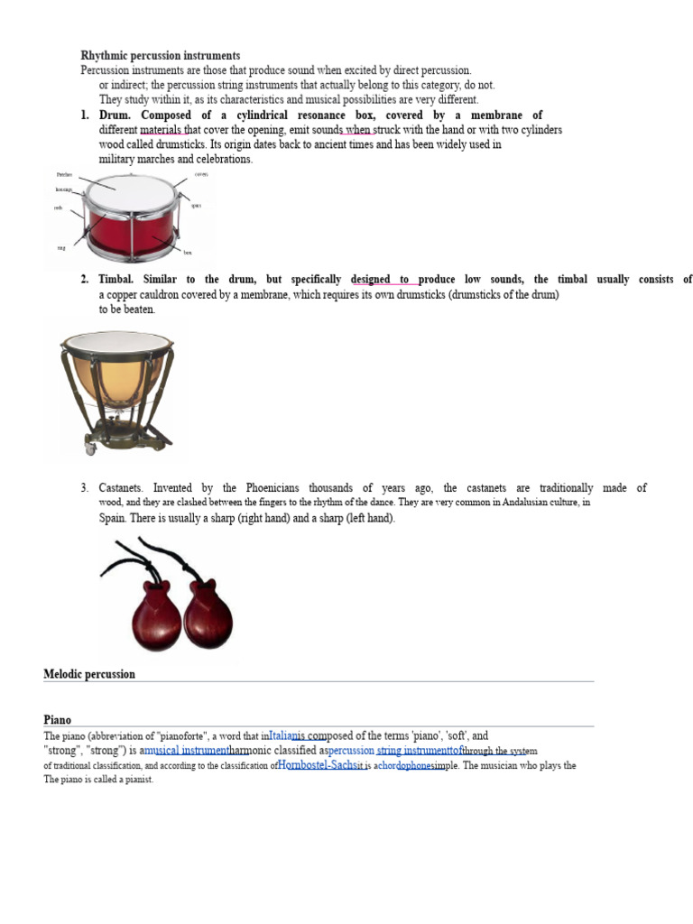 Rhythmic percussion instruments | PDF | String Instruments | Violin