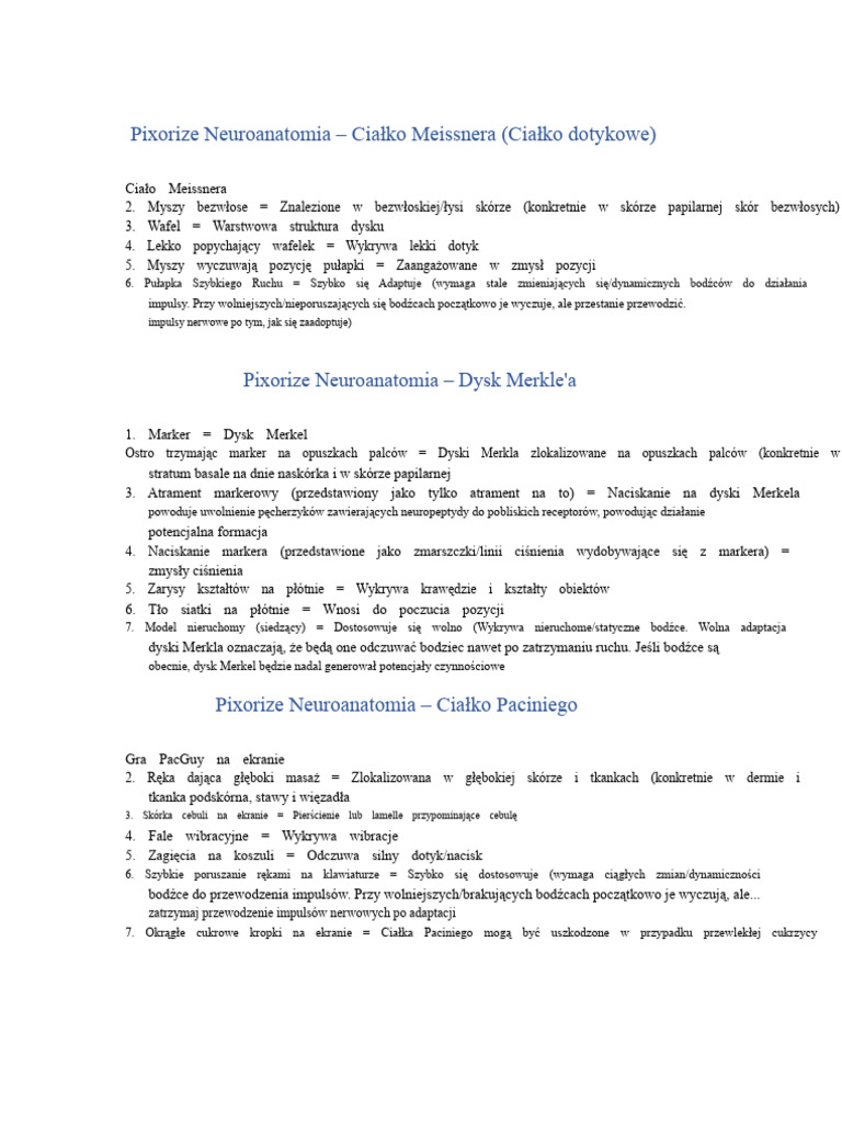 Notatki Z Neuroanatomii Pixorize | PDF