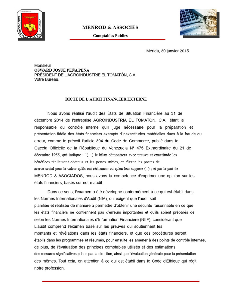 Exemple de Rapport D'audit | PDF | Taxe sur la valeur ajoutée | Audit