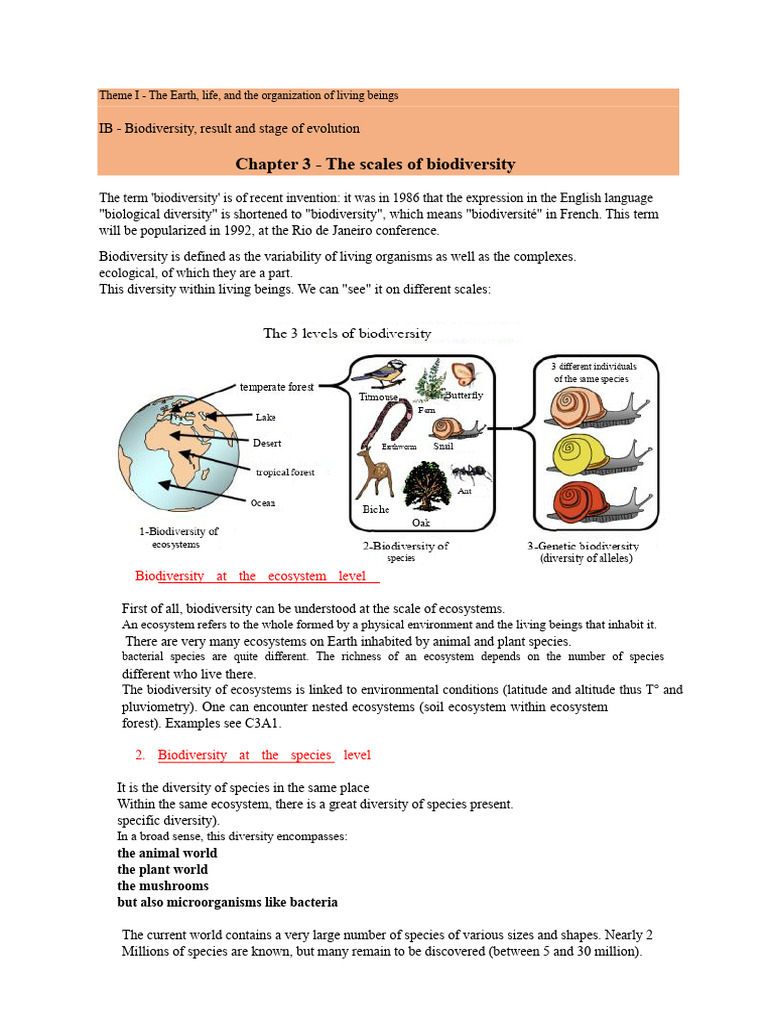 C3 - The scales of biodiversity (the lesson) | PDF | Biodiversity ...