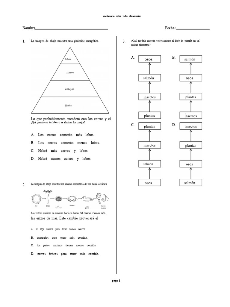 Práctica de Redes Alimentarias | PDF | Red alimentaria | Ecología