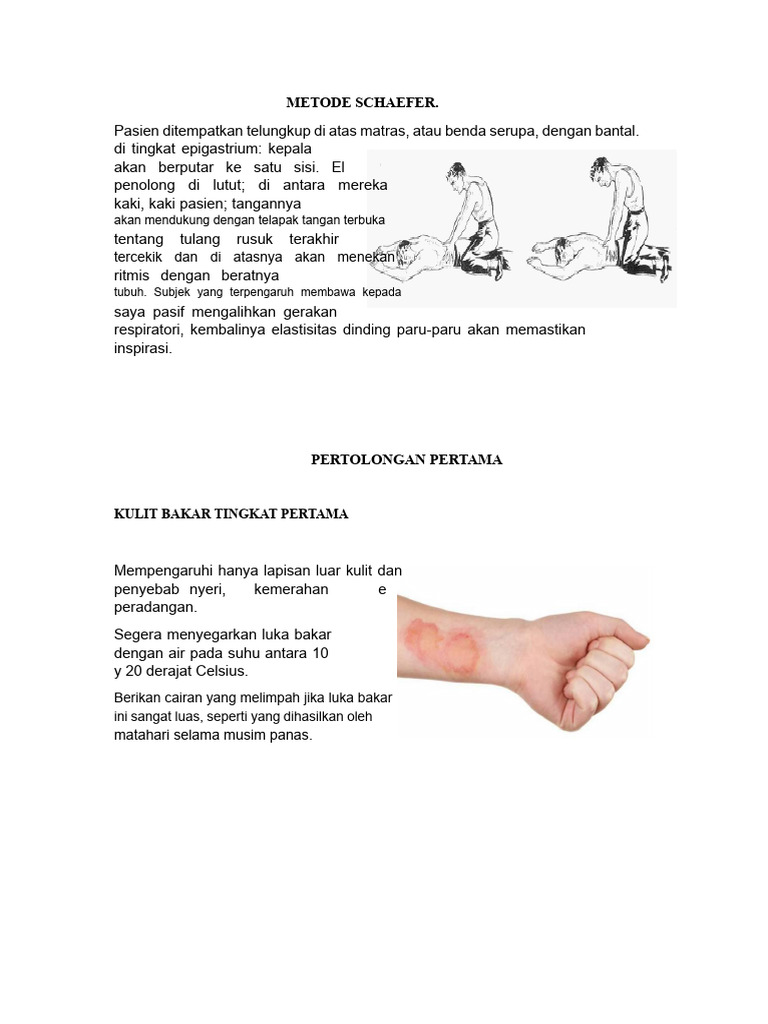 Metode Schaefer dan Pertolongan Pertama | PDF