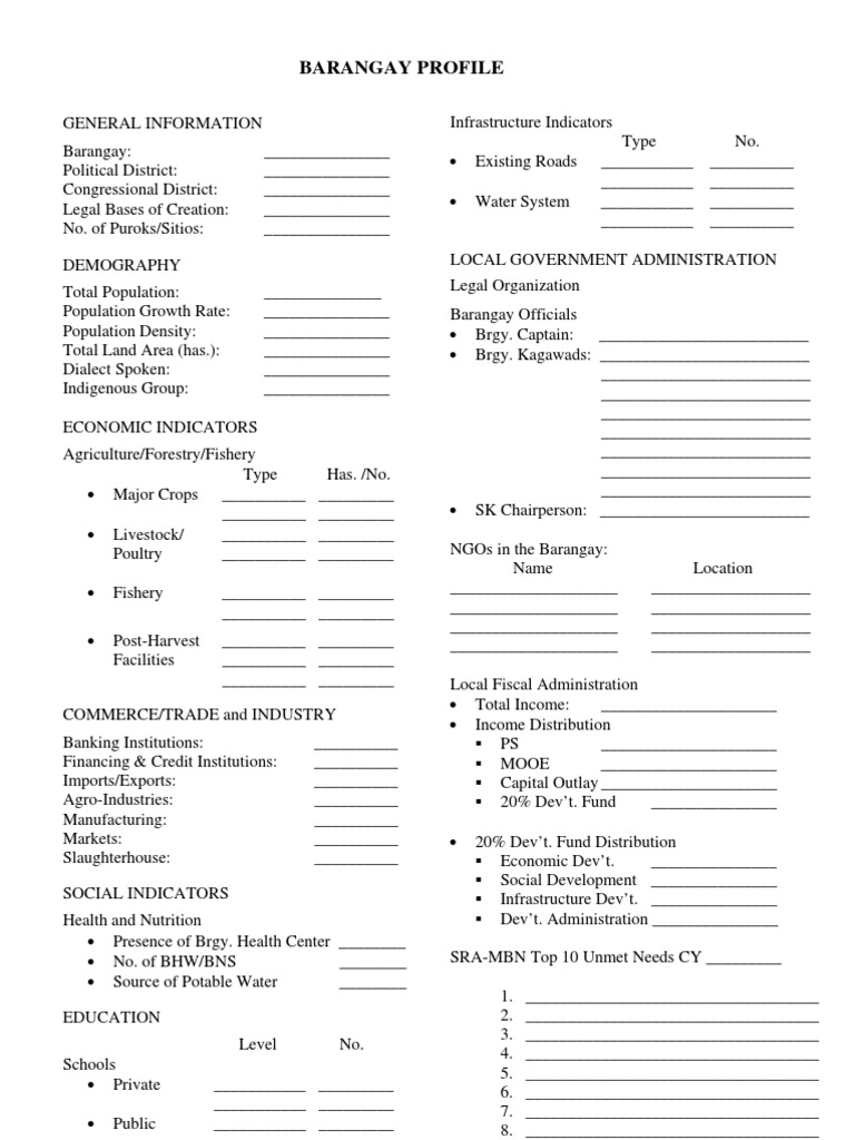 Barangay Profile Form | PDF