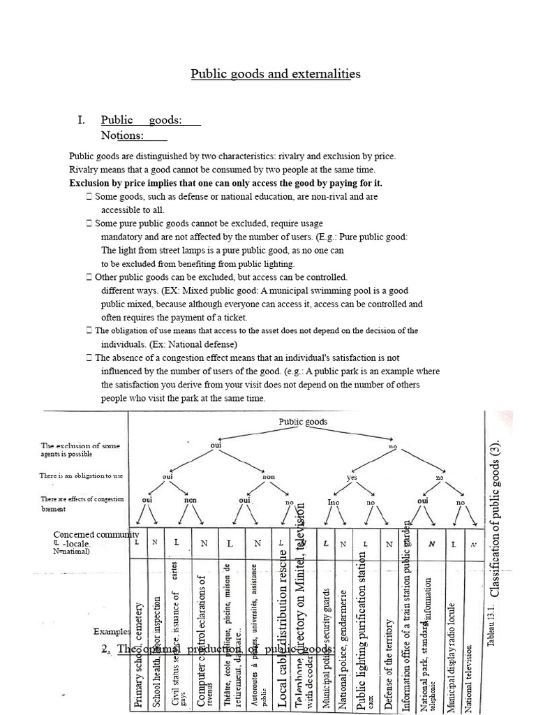 Understanding Public Goods and Externalities | PDF