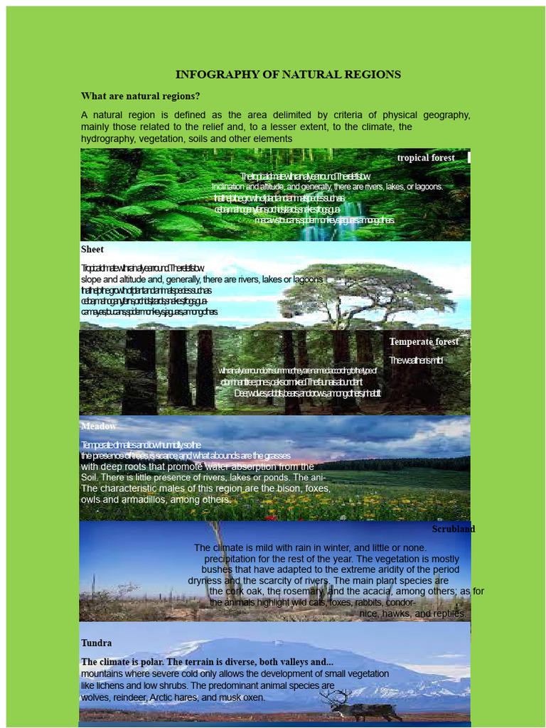 Infographic of Natural Regions | PDF | Earth Sciences | Physical Geography