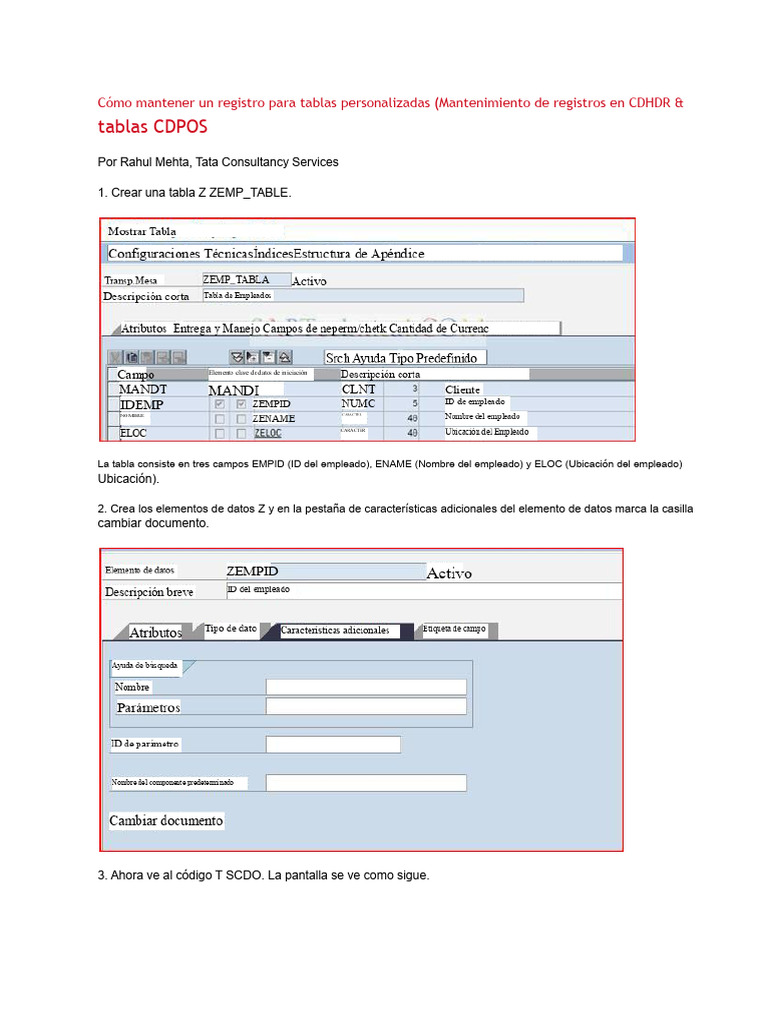 Cómo Mantener Un Registro para Tablas Personalizadas en SAP | PDF | Programa de computadora ...