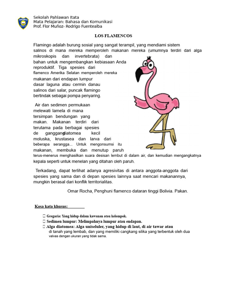 Flamingo | PDF