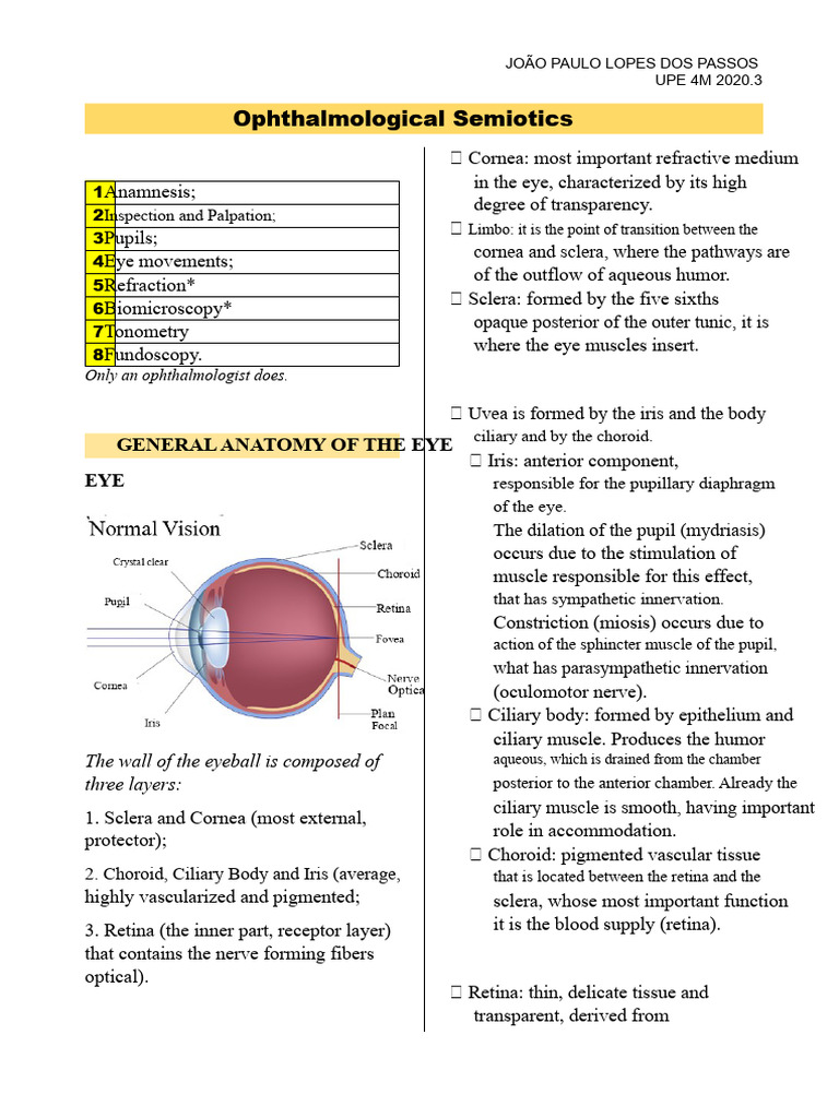Ophthalmological Semiotics | PDF | Cornea | Human Eye