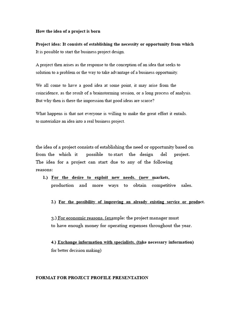 Birth of a Business Project Idea | PDF | Feasibility Study | Decision ...