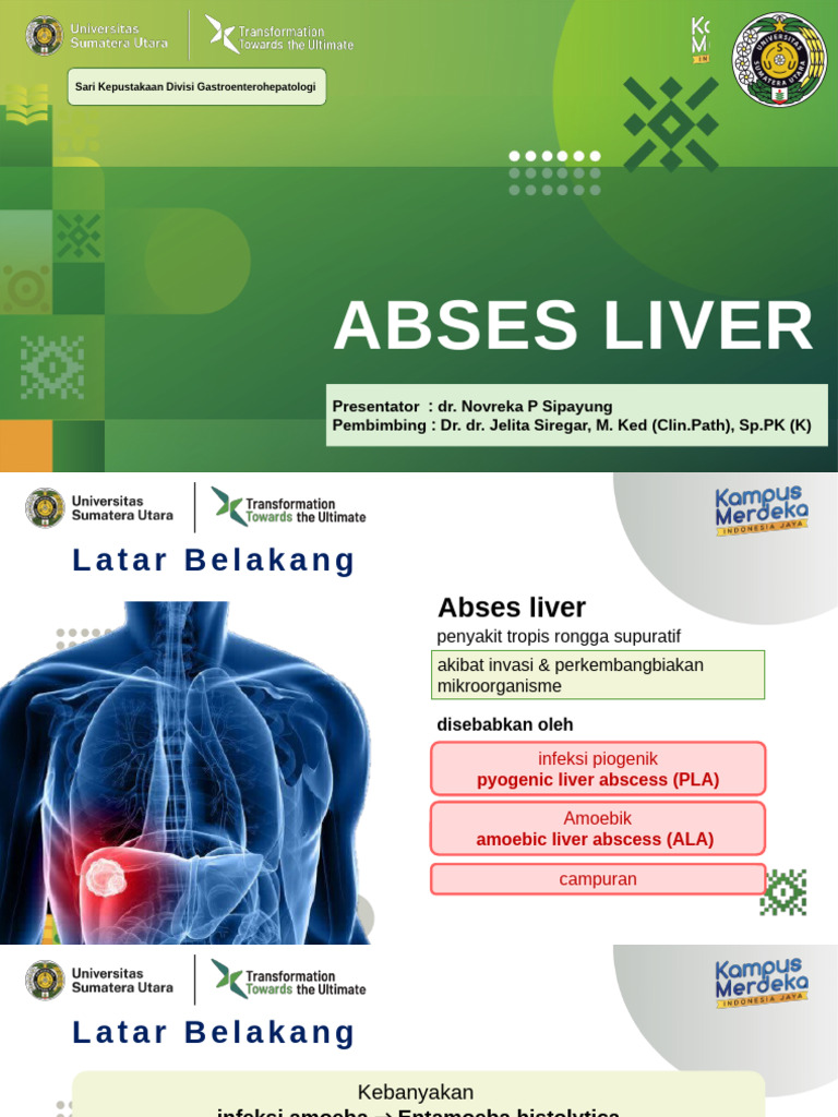 Abses Liver | PDF