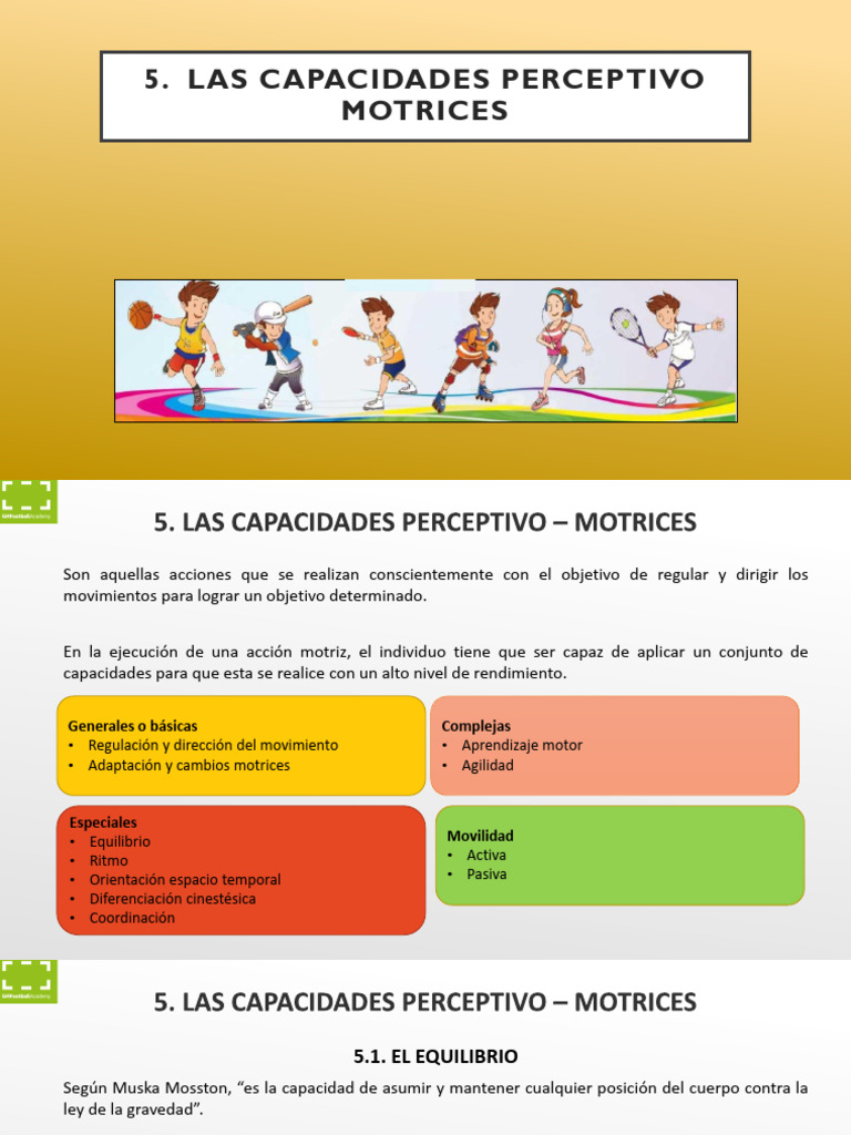Las Capacidades Perceptivo - Motrices | PDF