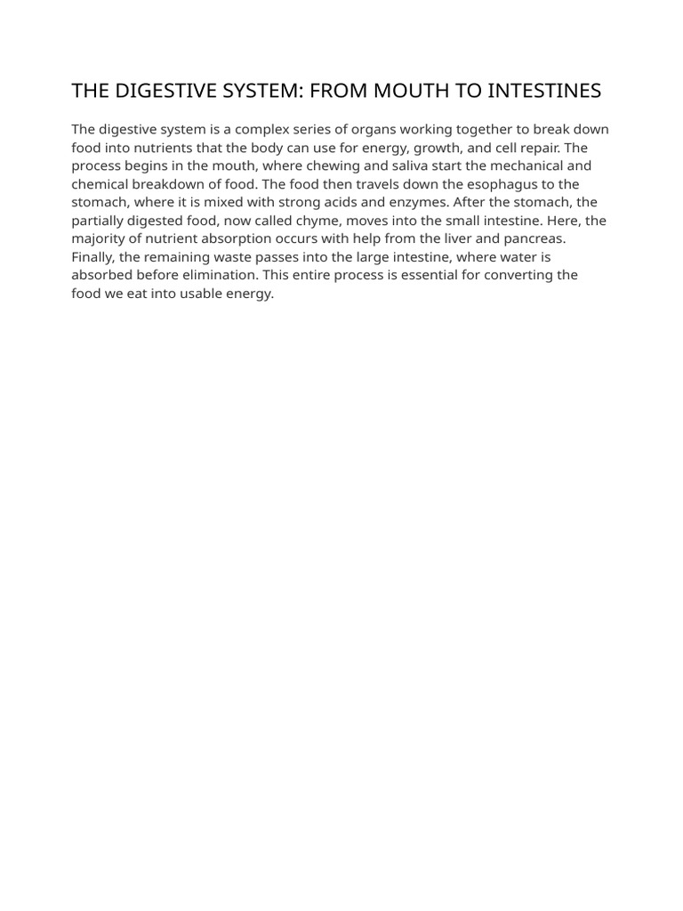 Human Body Systems Overview | PDF
